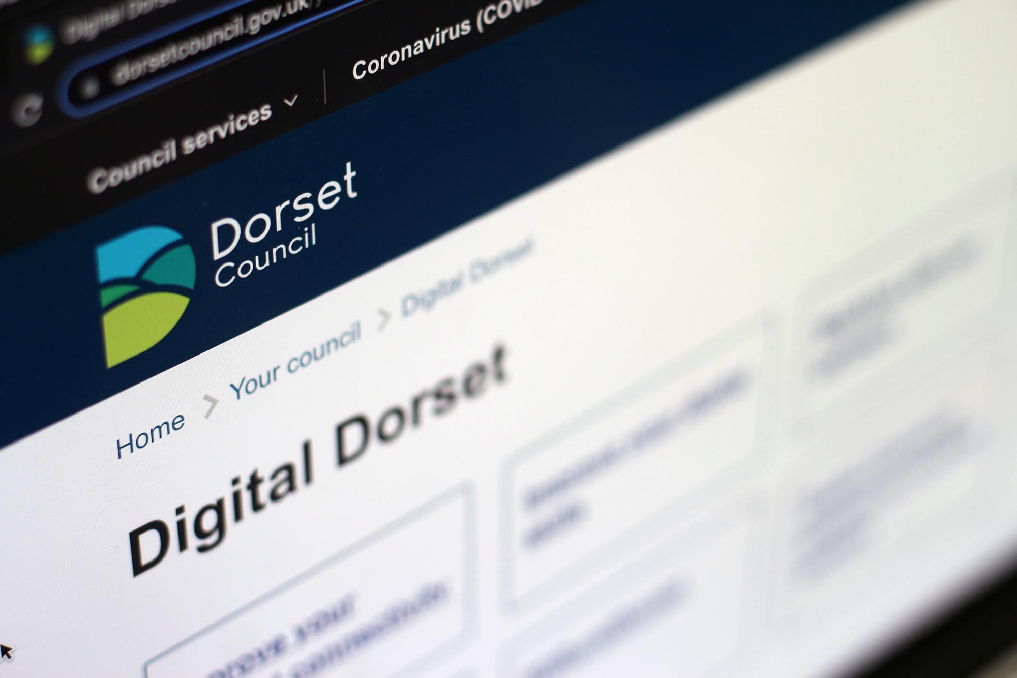 Dorset Council Logo Nominate Your Dorset Volunteer Hero